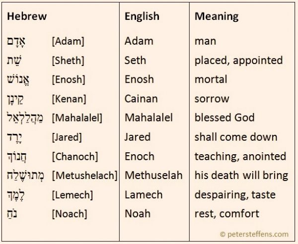 The Gospel in Noah’s geneaology – Peter & Vanessa Steffens