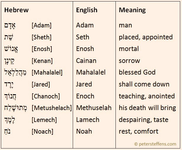 The Gospel In Noah s Geneaology Peter Vanessa Steffens The Gospel In Noah s Geneaology Peter Vanessa Steffens